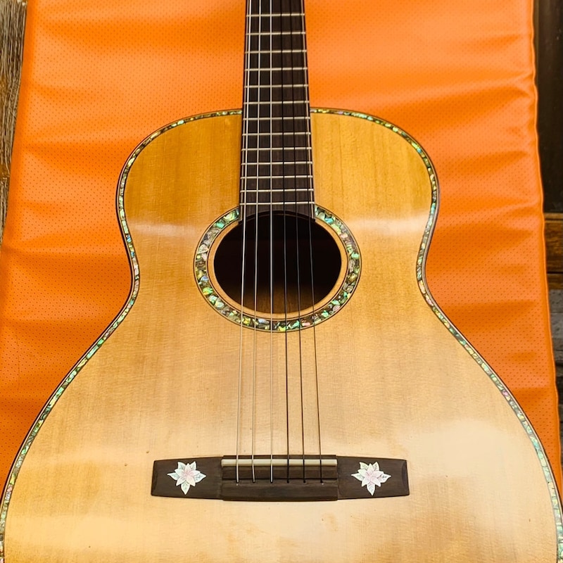 BlueberryGuitarsShop - Etsy