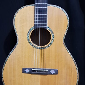 Blueberry Handmade Classical Guitar Nylon Strings Floral Motif - Etsy