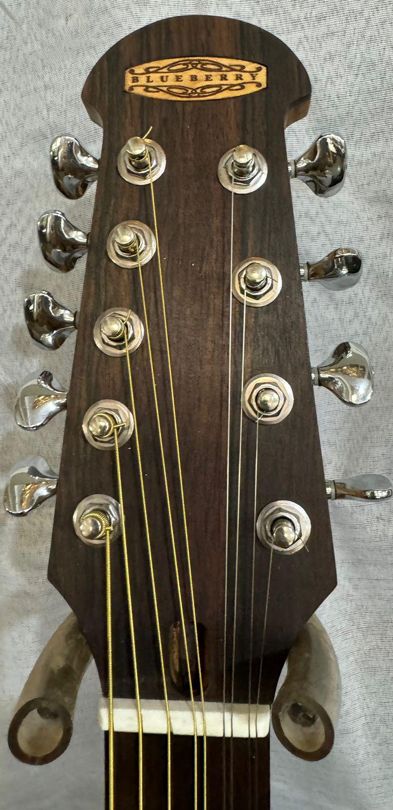 Blueberry Handmade Nine String Archtop Acoustic Guitar - Etsy