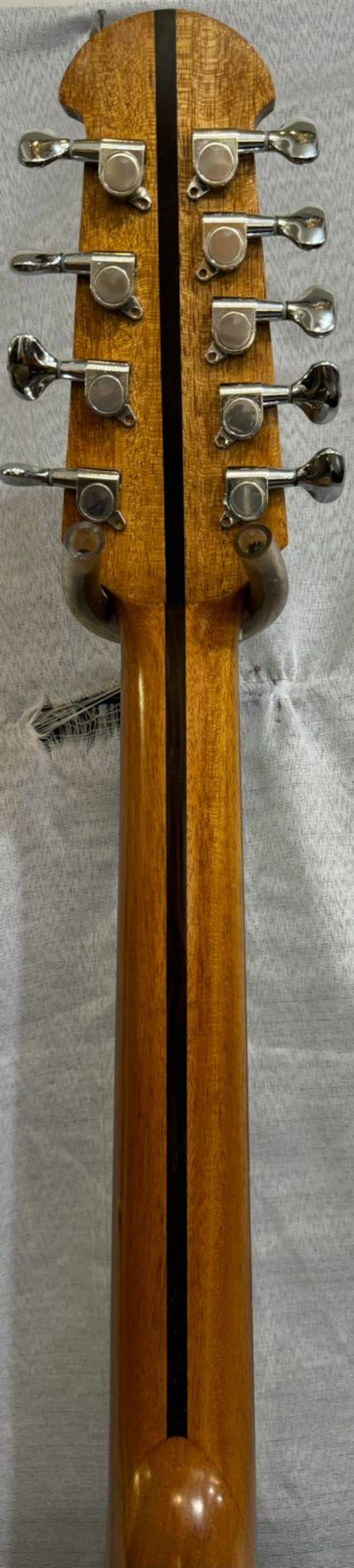 Blueberry Handmade Nine String Archtop Acoustic Guitar - Etsy