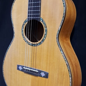 Blueberry Handmade Classical Guitar Nylon Strings Floral Motif - Etsy