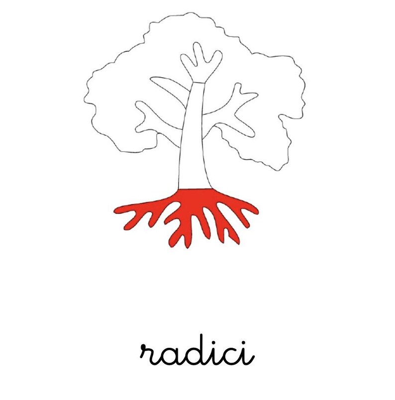 Montessori Nomenclature, Booklet and Parts Sheet of LEAF, PLANT AND ...