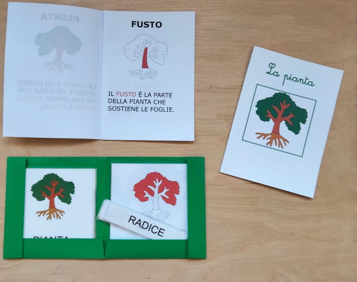 Montessori Nomenclature, Booklet and Sheet of the Parts of the PLANT - Etsy