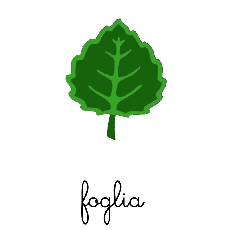 Montessori Nomenclature, Booklet and Parts Sheet of LEAF, PLANT AND ...