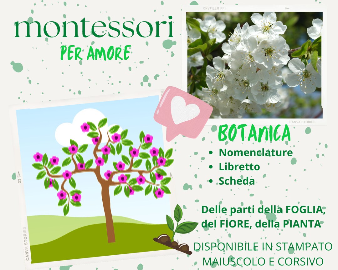 Montessori Nomenclature, Booklet and Parts Sheet of LEAF, PLANT AND ...