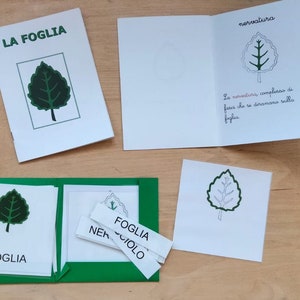 Montessori Nomenclature, Booklet and Sheet of the Parts of the LEAF - Etsy