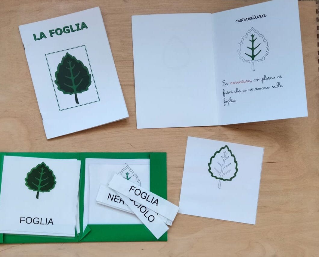 Montessori Nomenclature, Booklet and Sheet of the Parts of the LEAF - Etsy