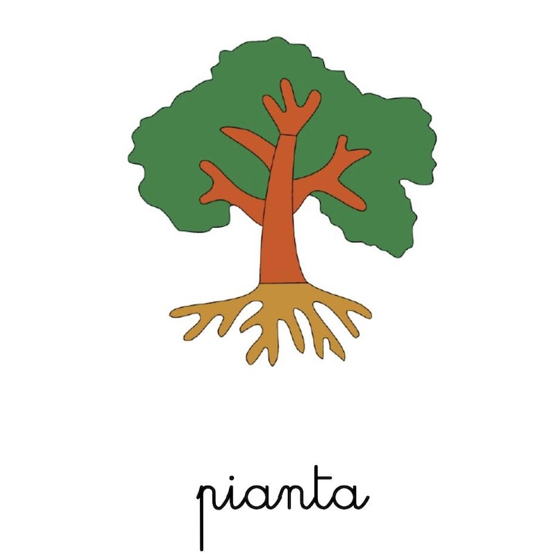 Montessori Nomenclature, Booklet and Parts Sheet of LEAF, PLANT AND ...