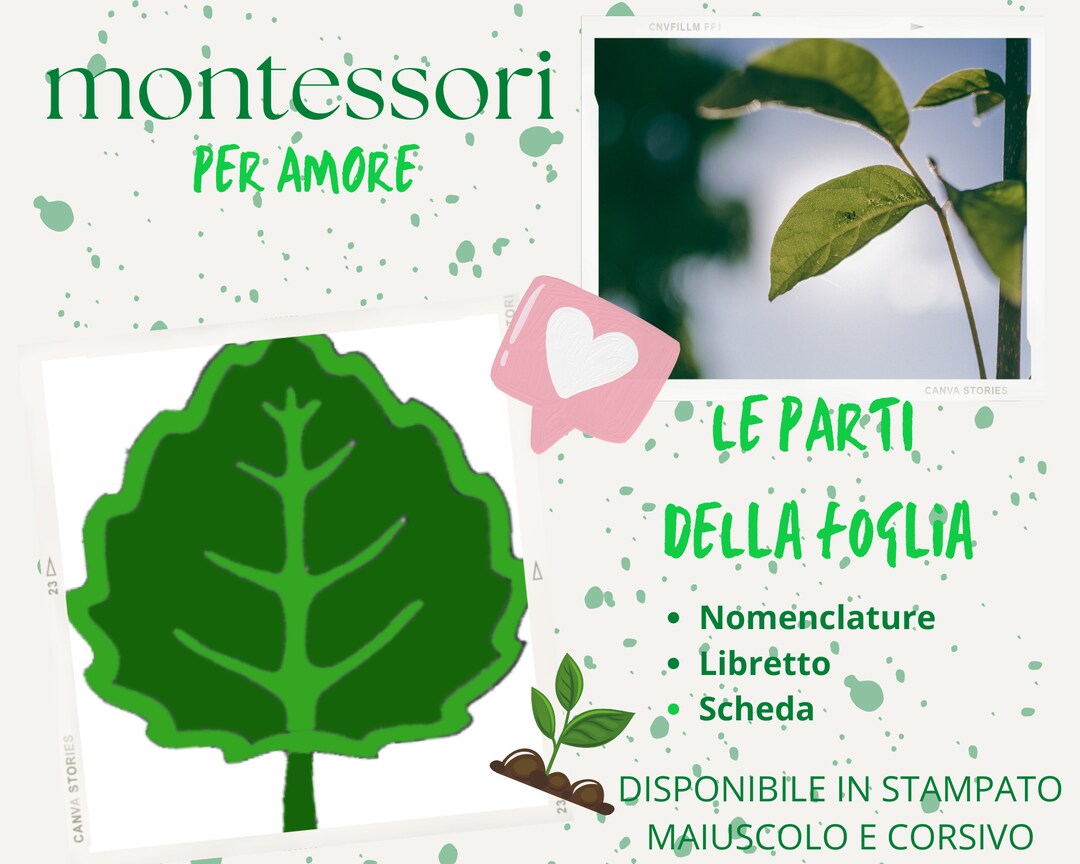 Montessori Nomenclature, Booklet and Sheet of the Parts of the LEAF - Etsy