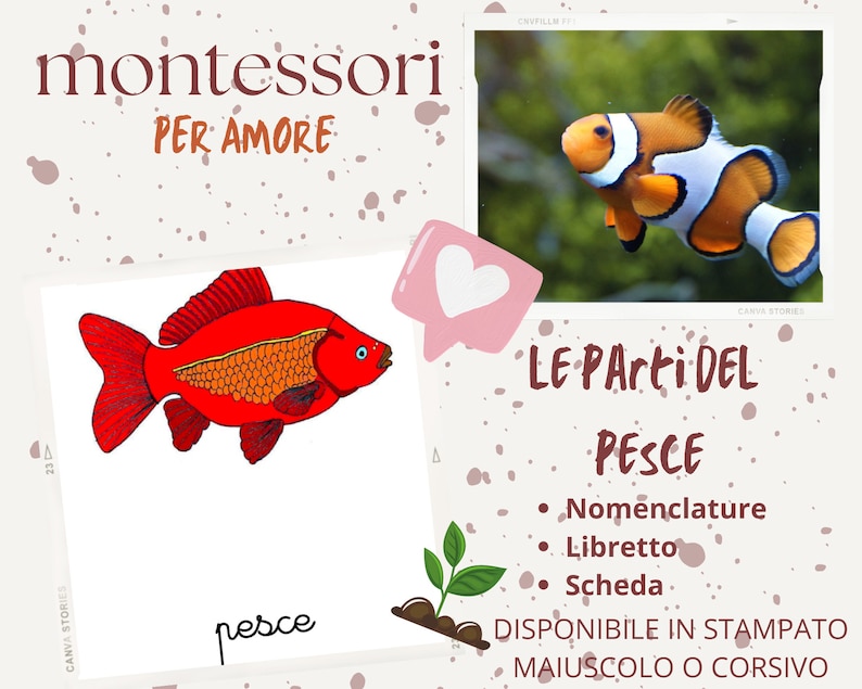 Montessori Nomenclature, Booklet and FISH Parts Sheet - Etsy