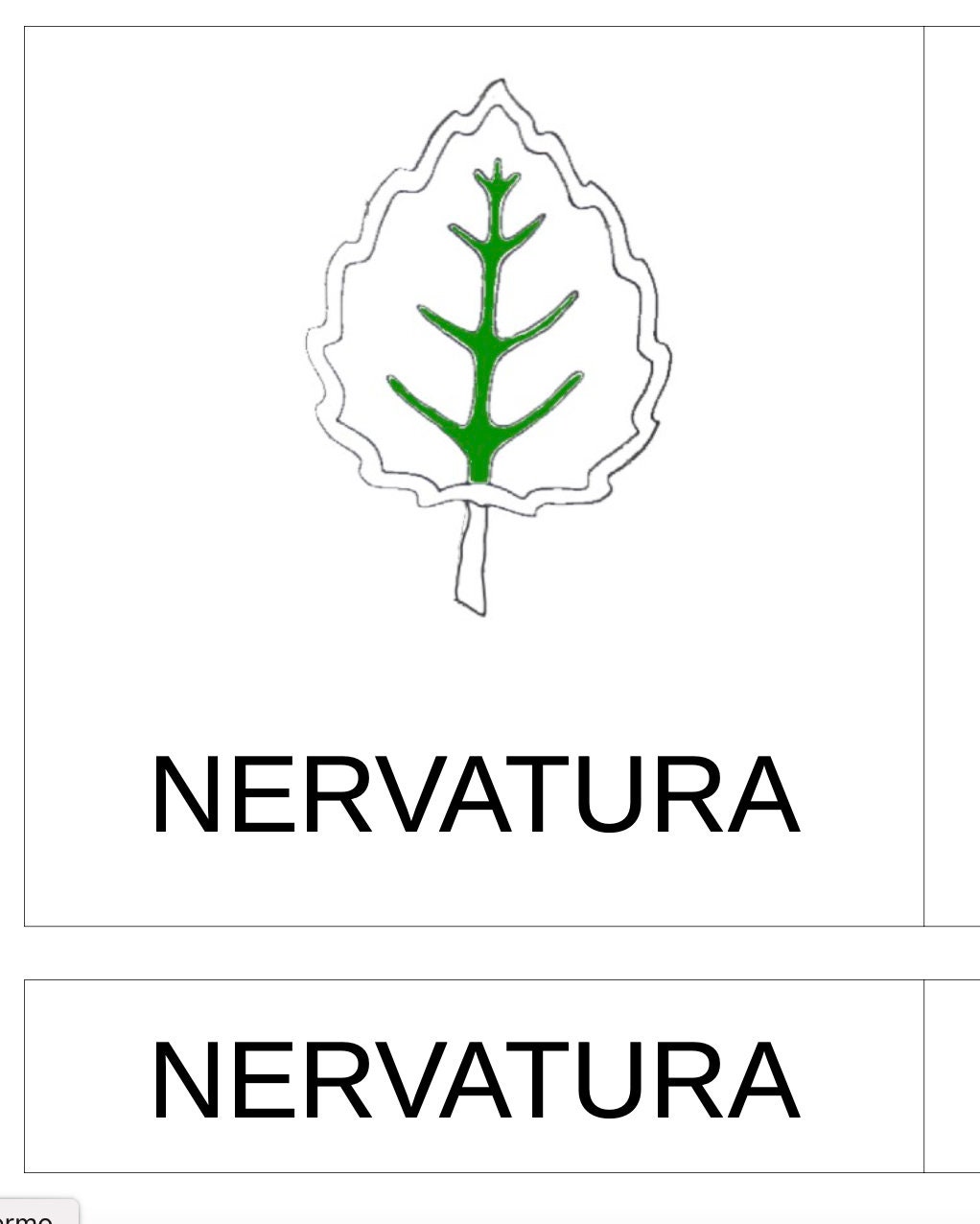 Montessori Nomenclature, Booklet and Sheet of the Parts of the LEAF - Etsy