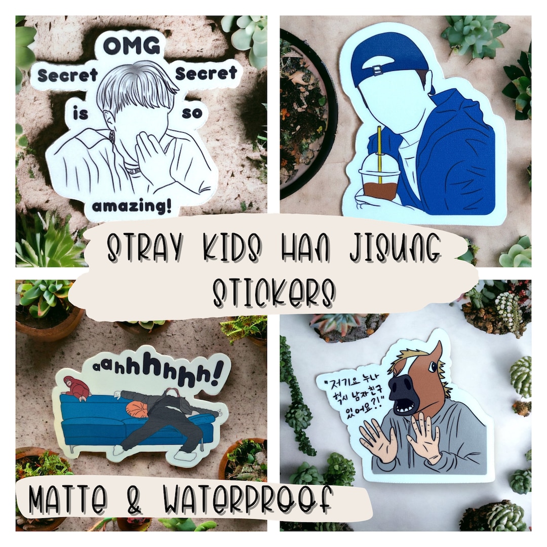 Han Jisung Stickers, Stray Kids Stickers, SKZ Stickers, Kpop Decals ...