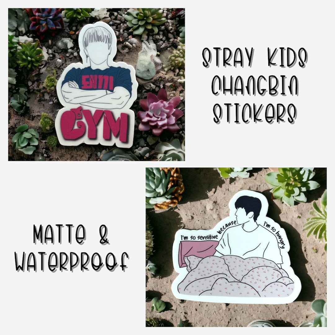 Changbin Stickers, Stray Kids Stickers, SKZ Stickers, Kpop Decals ...