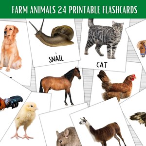 Farm Animals Cards, Farm Animals Printable Flashcards, Printable Cards ...