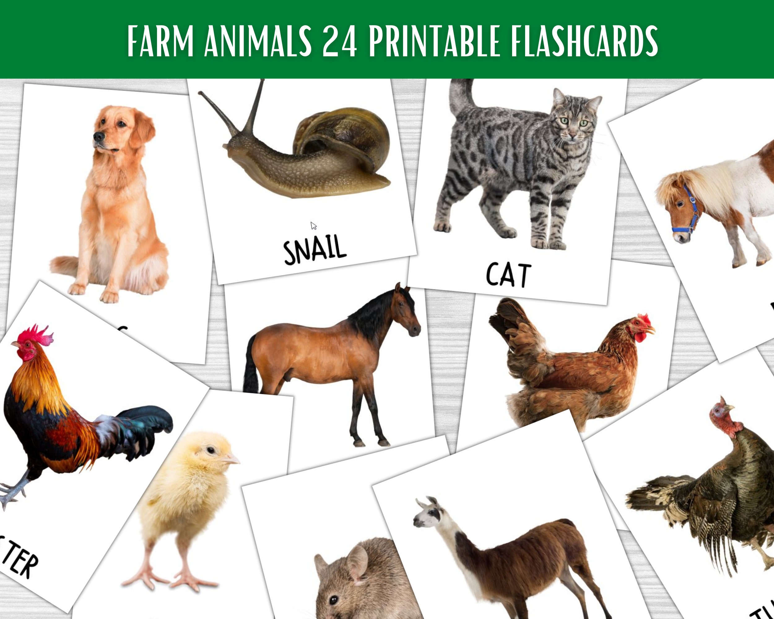Farm Animals Cards, Farm Animals Printable Flashcards, Printable Cards ...