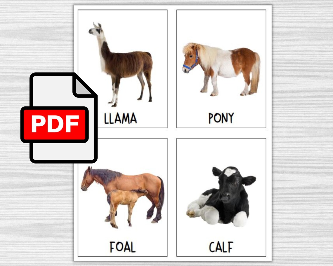Farm Animals Cards, Farm Animals Printable Flashcards, Printable Cards ...