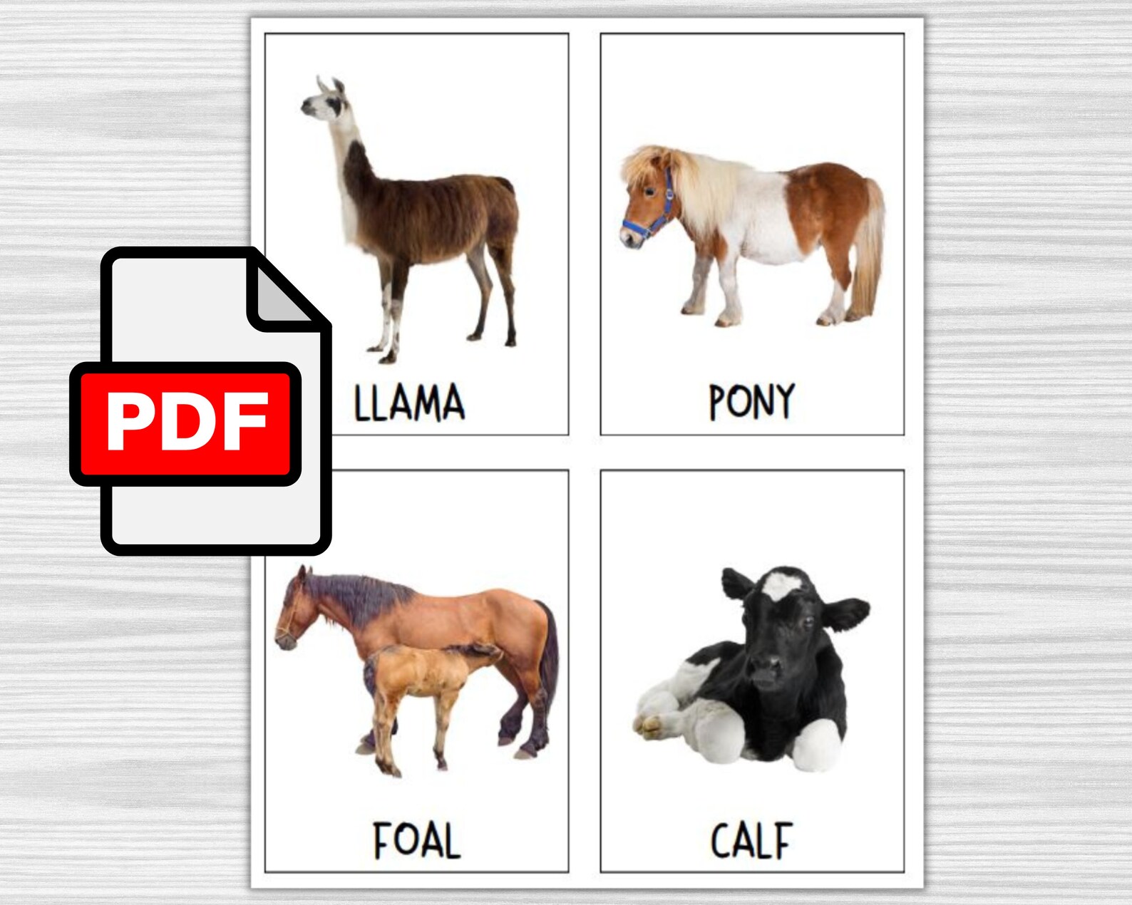 Farm Animals Cards, Farm Animals Printable Flashcards, Printable Cards ...