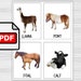 Farm Animals Cards, Farm Animals Printable Flashcards, Printable Cards ...