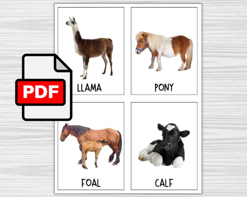 Farm Animals Cards, Farm Animals Printable Flashcards, Printable Cards ...