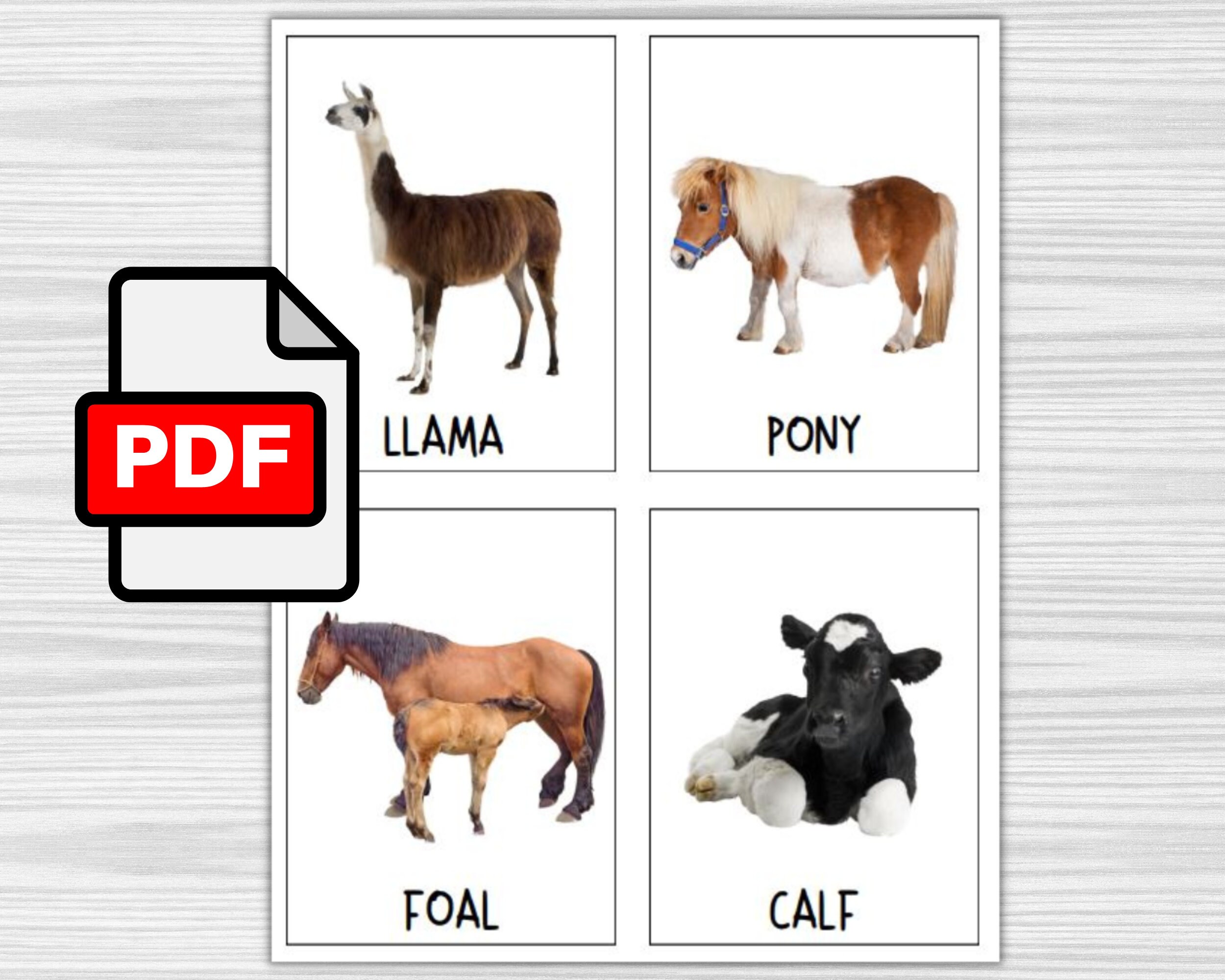 Farm Animals Cards, Farm Animals Printable Flashcards, Printable Cards ...