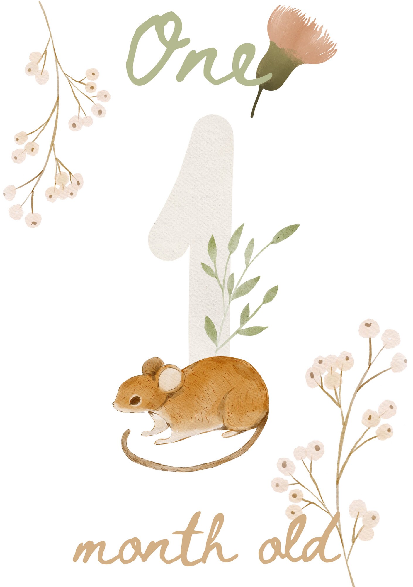 Months Old Printable Set, Milestone Cards Set 1-12 Months, Printable ...