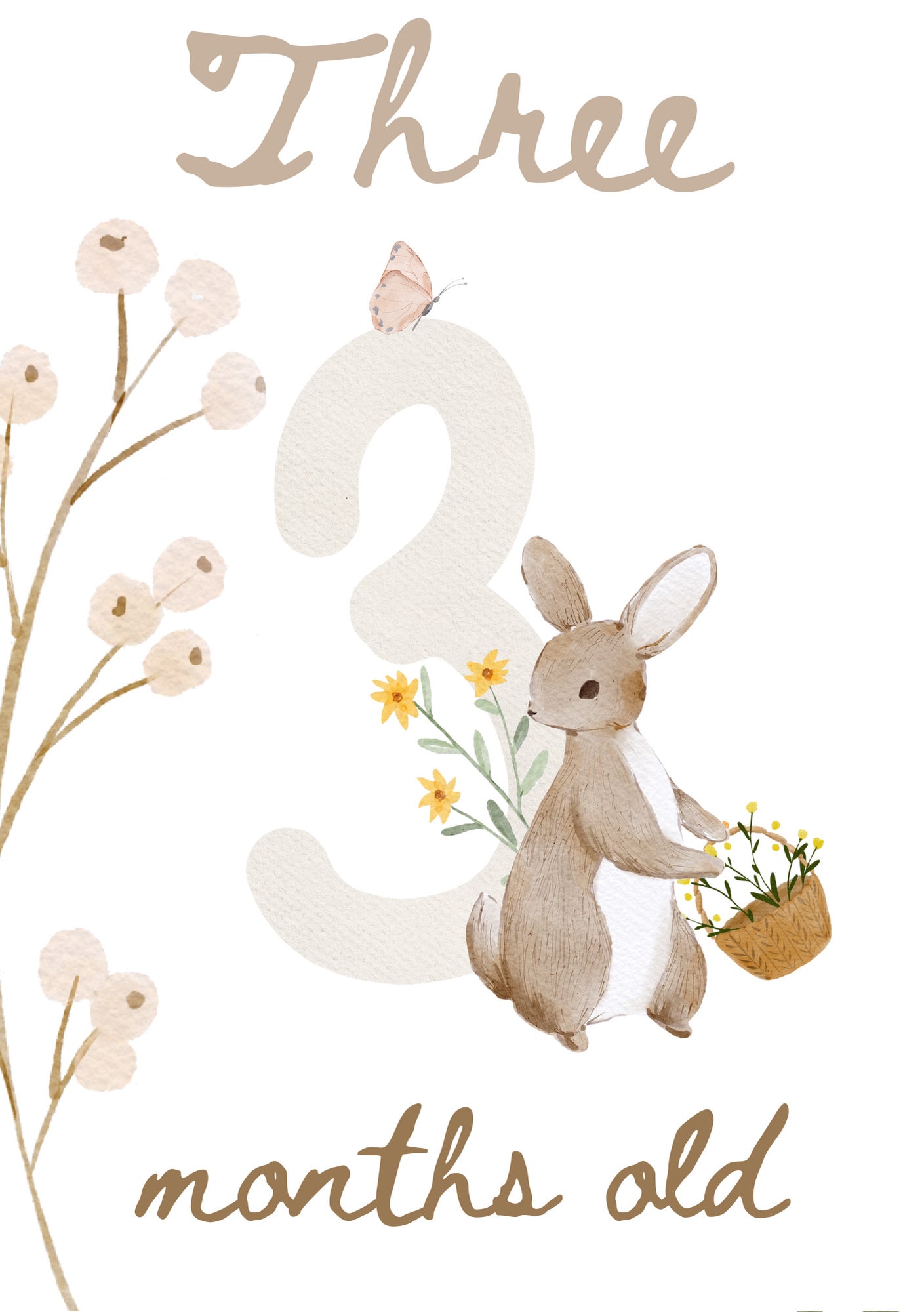 Months Old Printable Set, Milestone Cards Set 1-12 Months, Printable ...