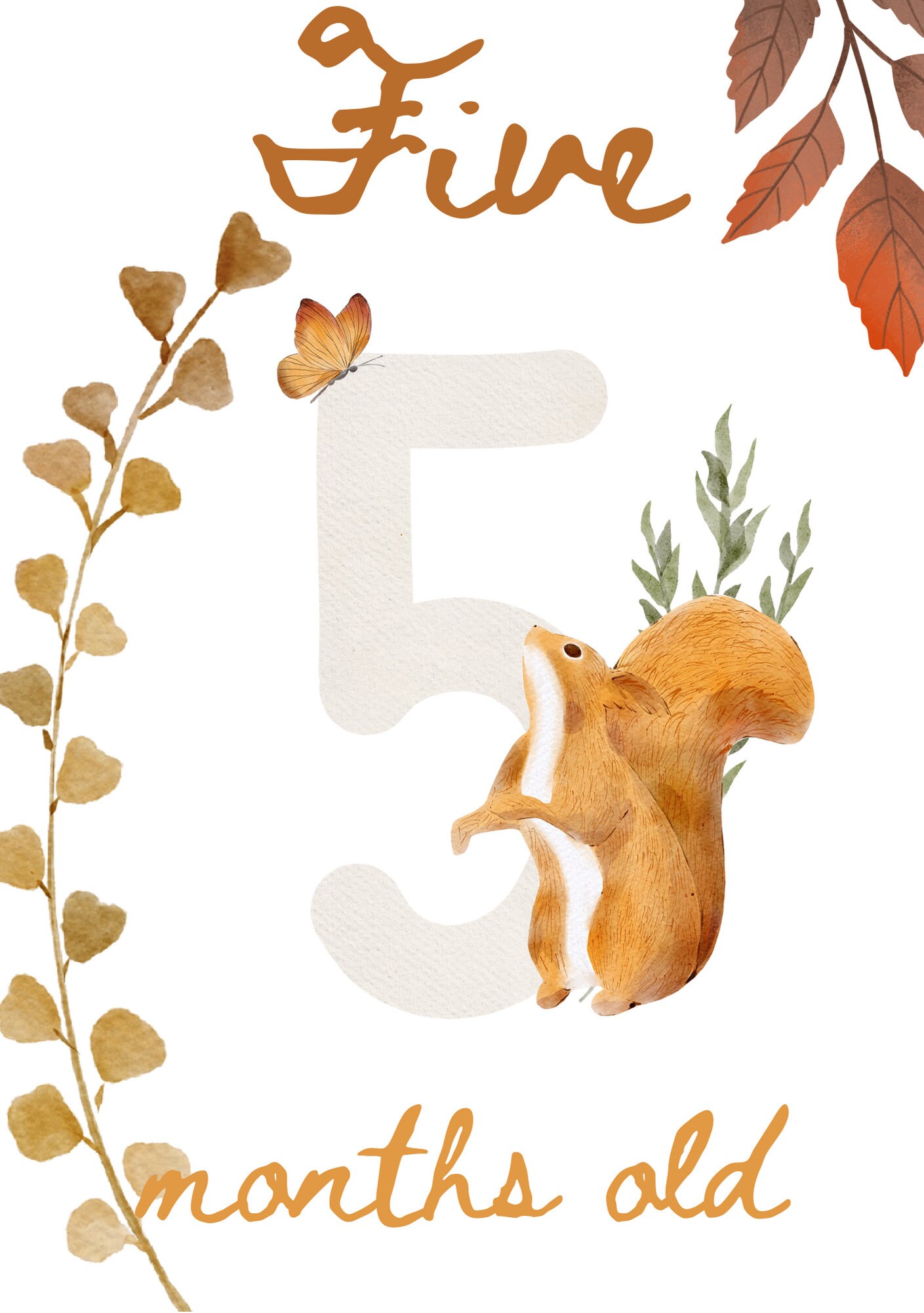 Months Old Printable Set, Milestone Cards Set 1-12 Months, Printable ...