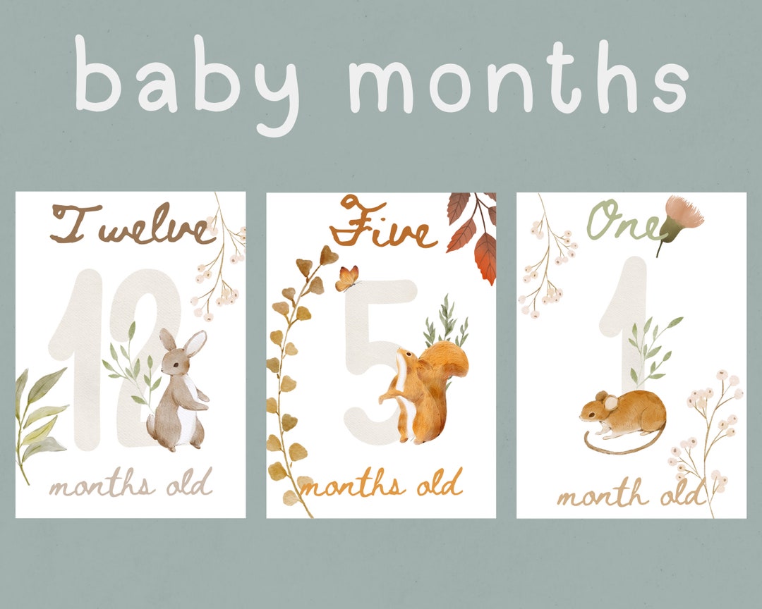 Months Old Printable Set, Milestone Cards Set 1-12 Months, Printable ...