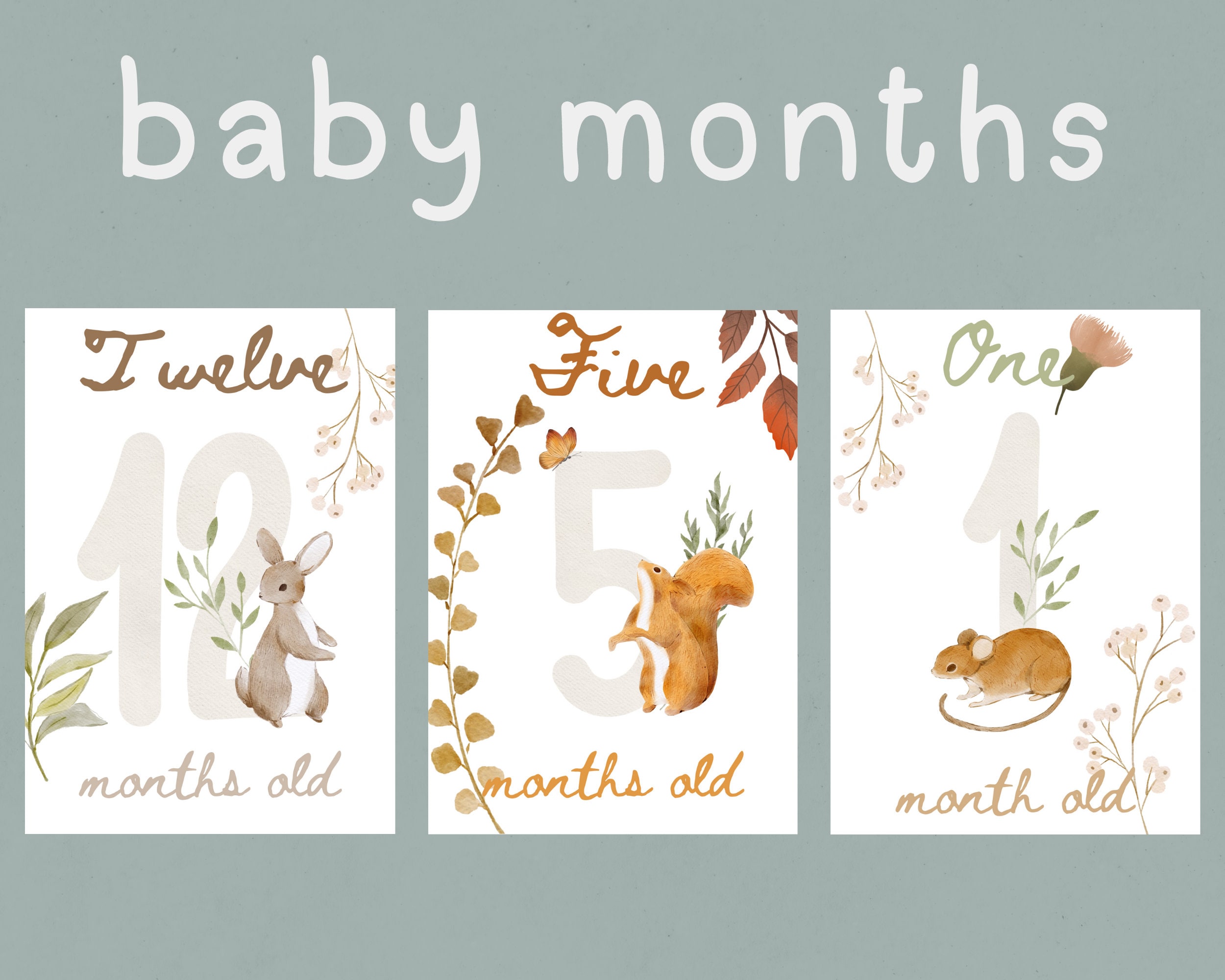 Months Old Printable Set, Milestone Cards Set 1-12 Months, Printable ...