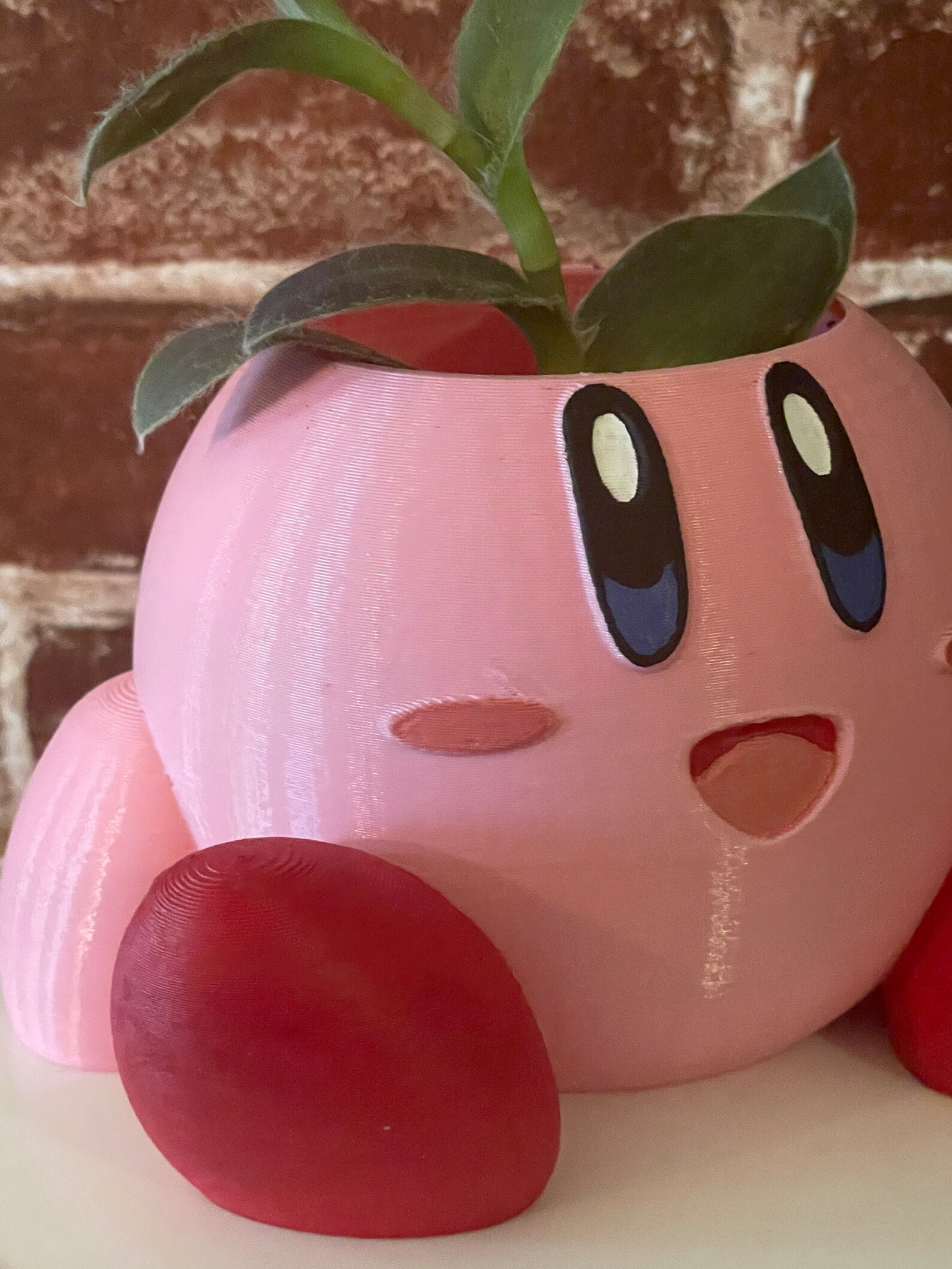 Kirby Planter Gift - Etsy