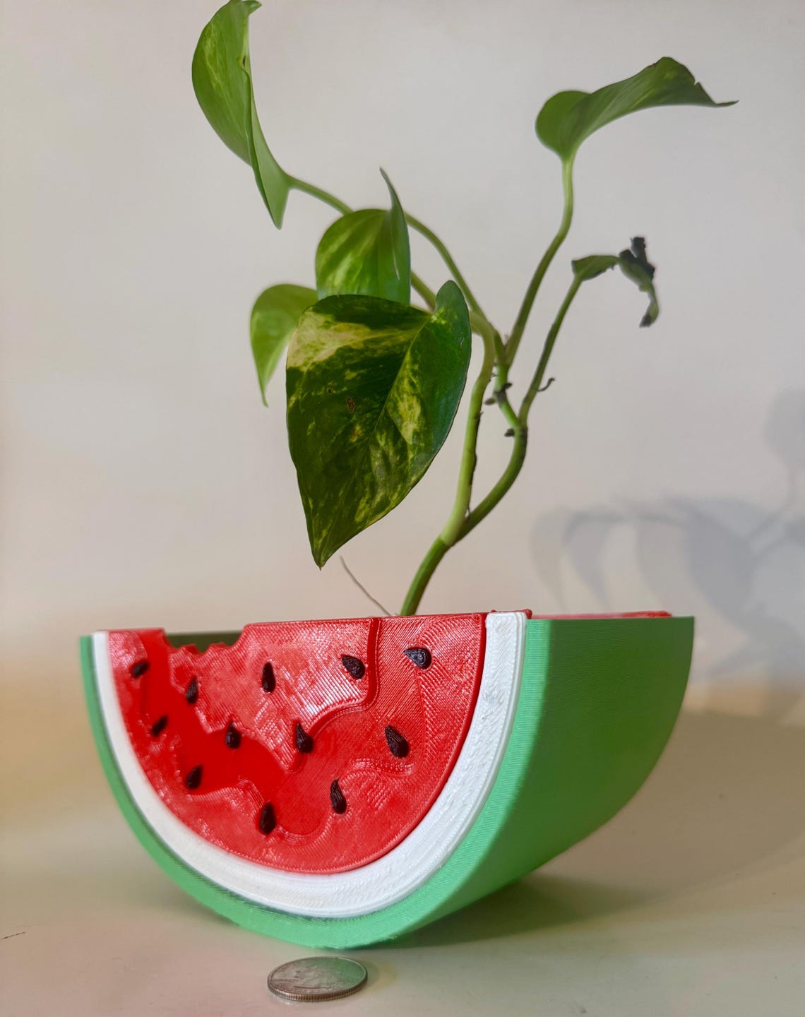 Watermelon Planter Gift - Etsy