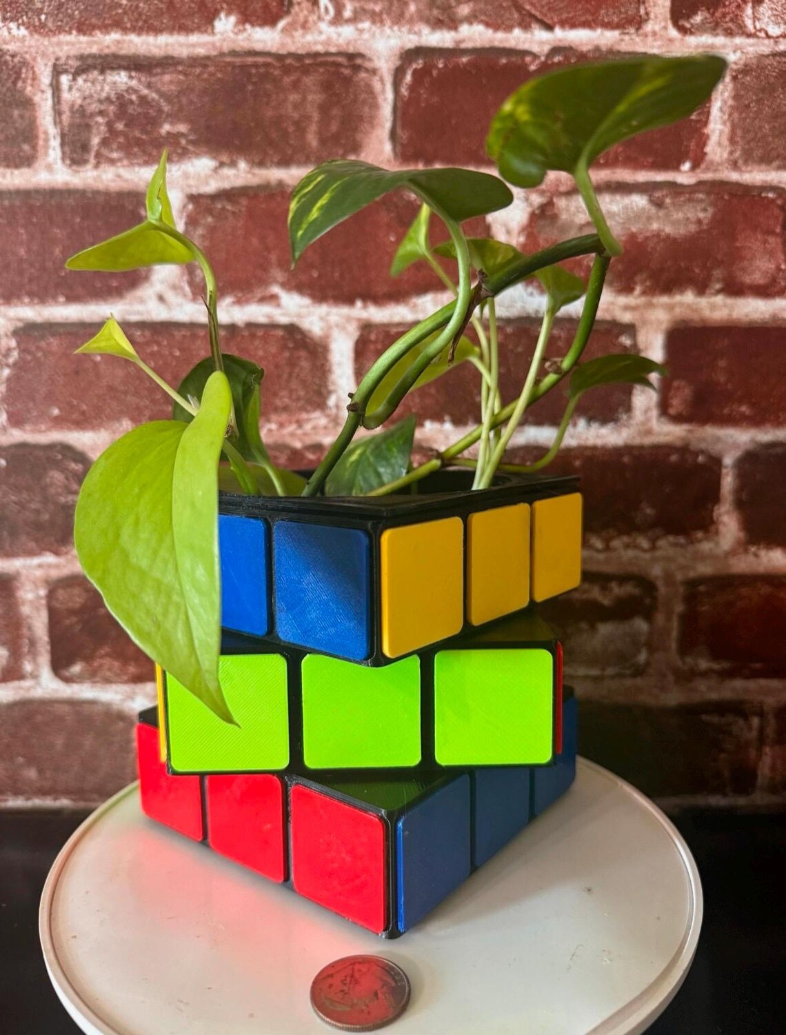 Rubix Cube Planter Gift - Etsy