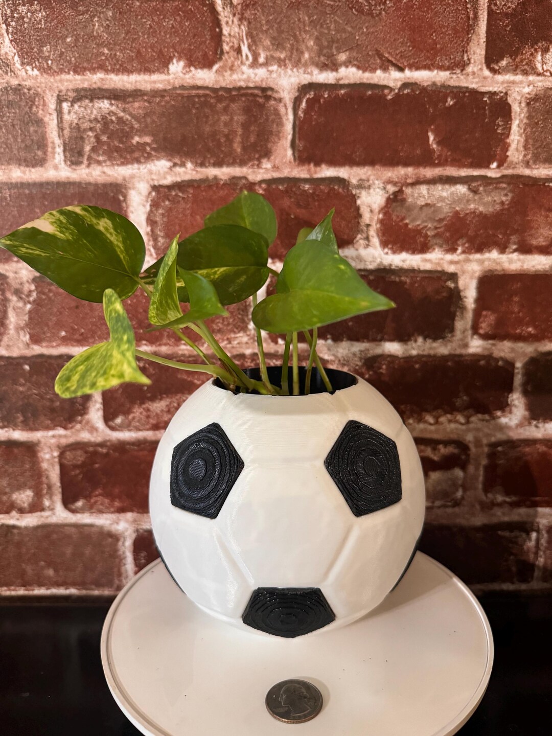 Soccer Planter Gift - Etsy