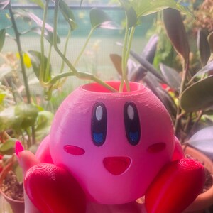 Kirby Planter Gift - Etsy