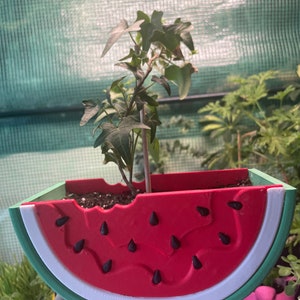 Watermelon Planter Gift - Etsy