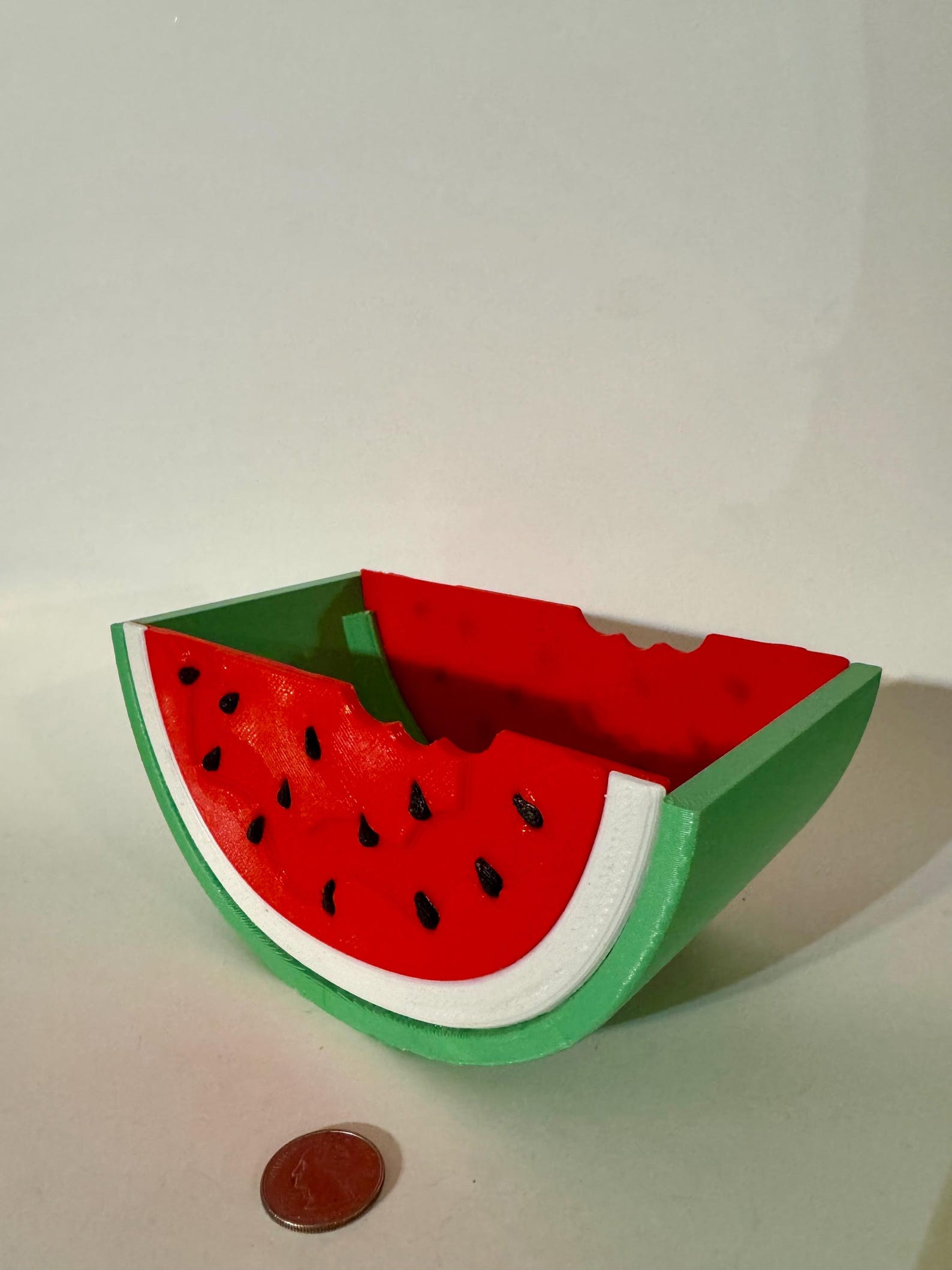 Watermelon Planter Gift - Etsy