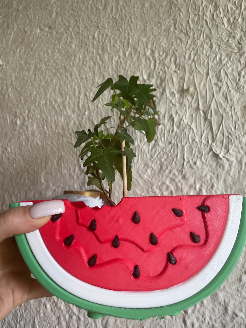 Watermelon Planter Gift - Etsy