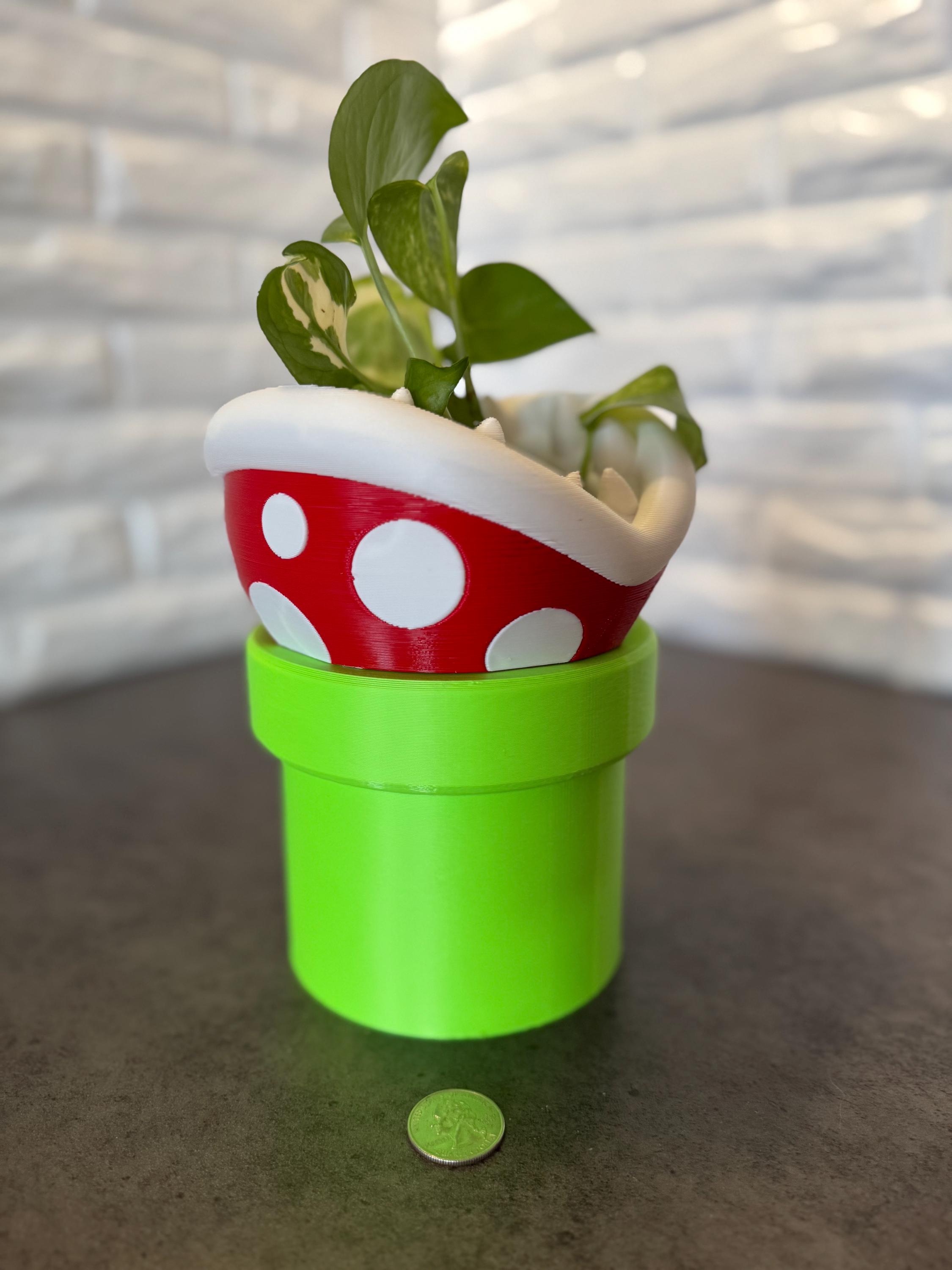 Retro Game Inspired Planter | Piranha Large Plant Pot | Fun 3D Printed ...