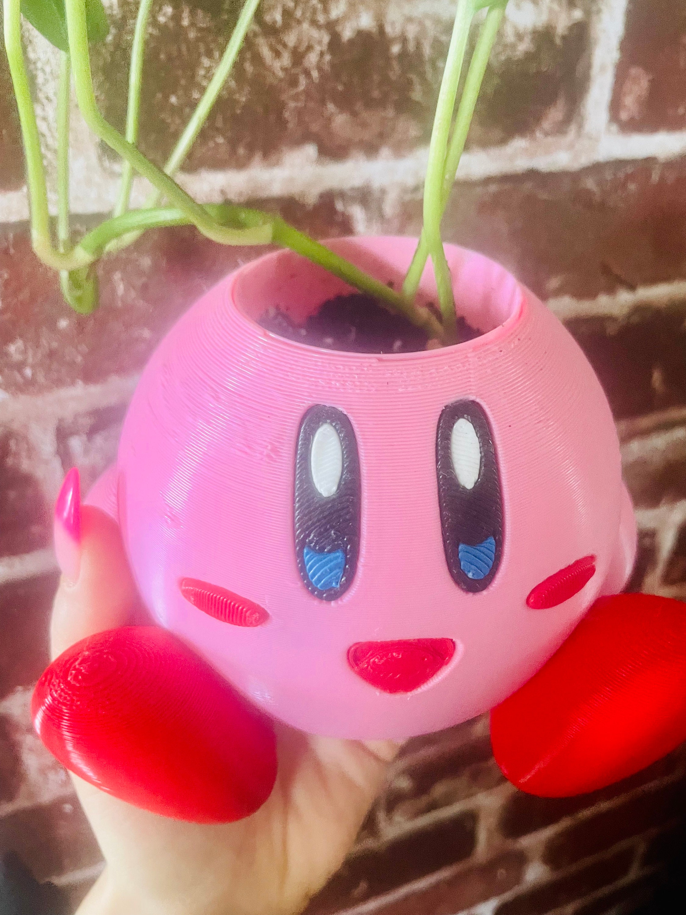 Kirby Planter Gift - Etsy