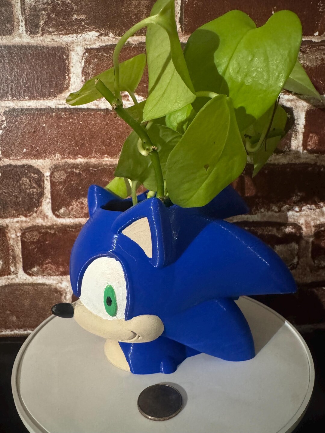 Sonic Hedgehog Planter Gift With Inner Tray - Etsy