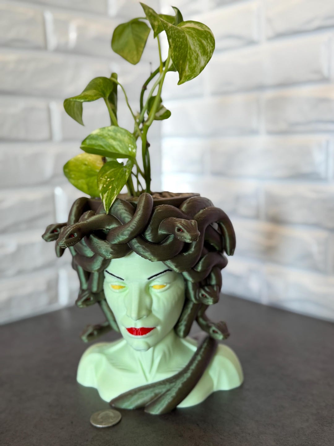 Medusa Planter Gift - Etsy