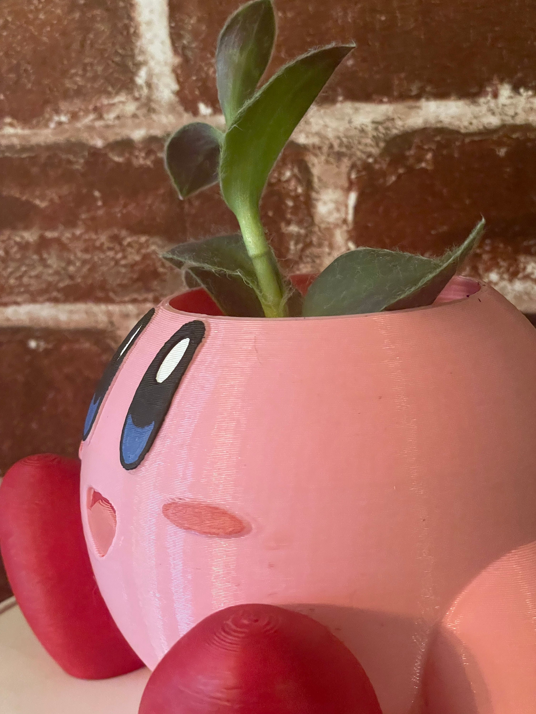 Kirby Planter Gift - Etsy