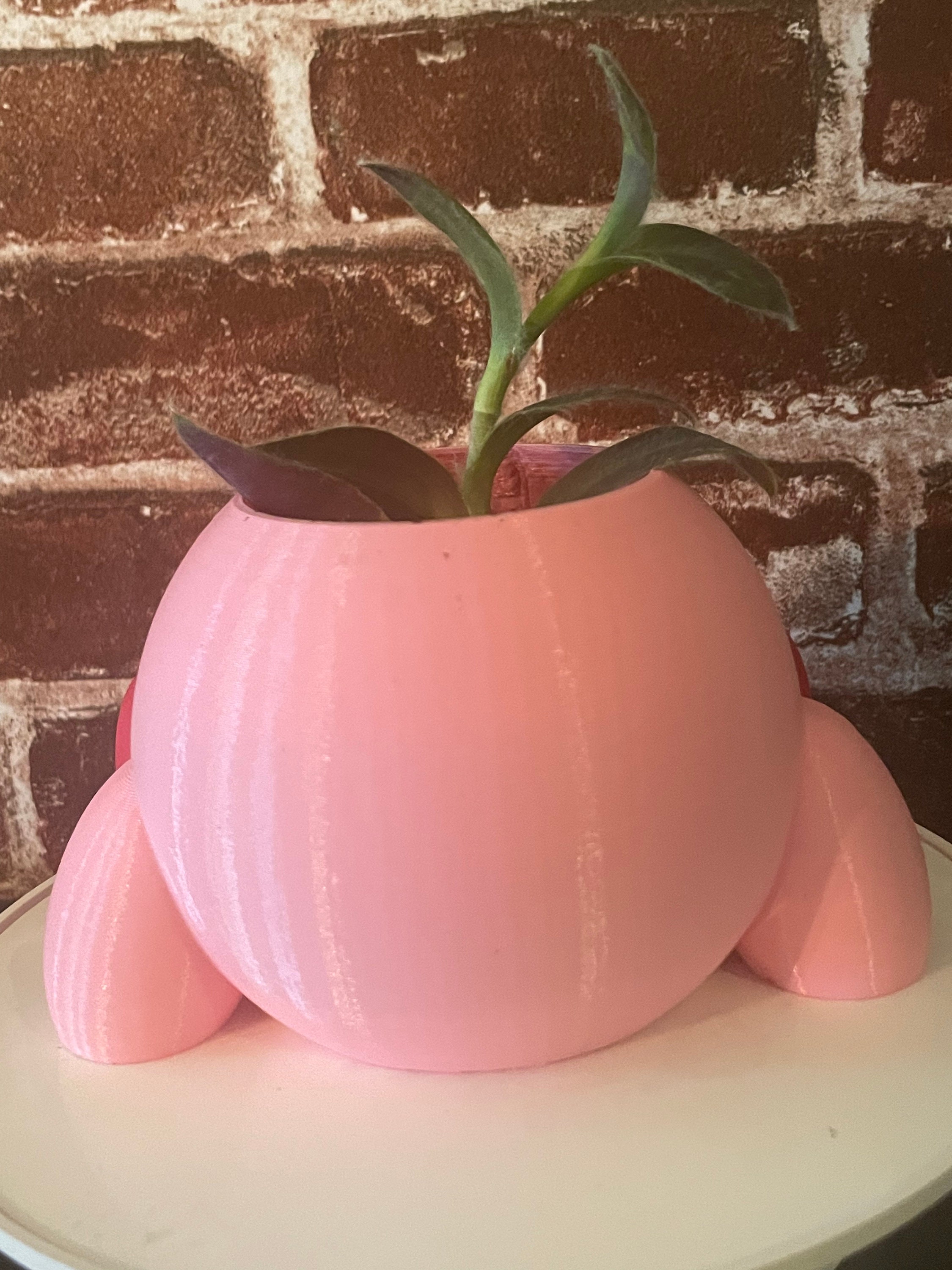 Kirby Planter Gift - Etsy