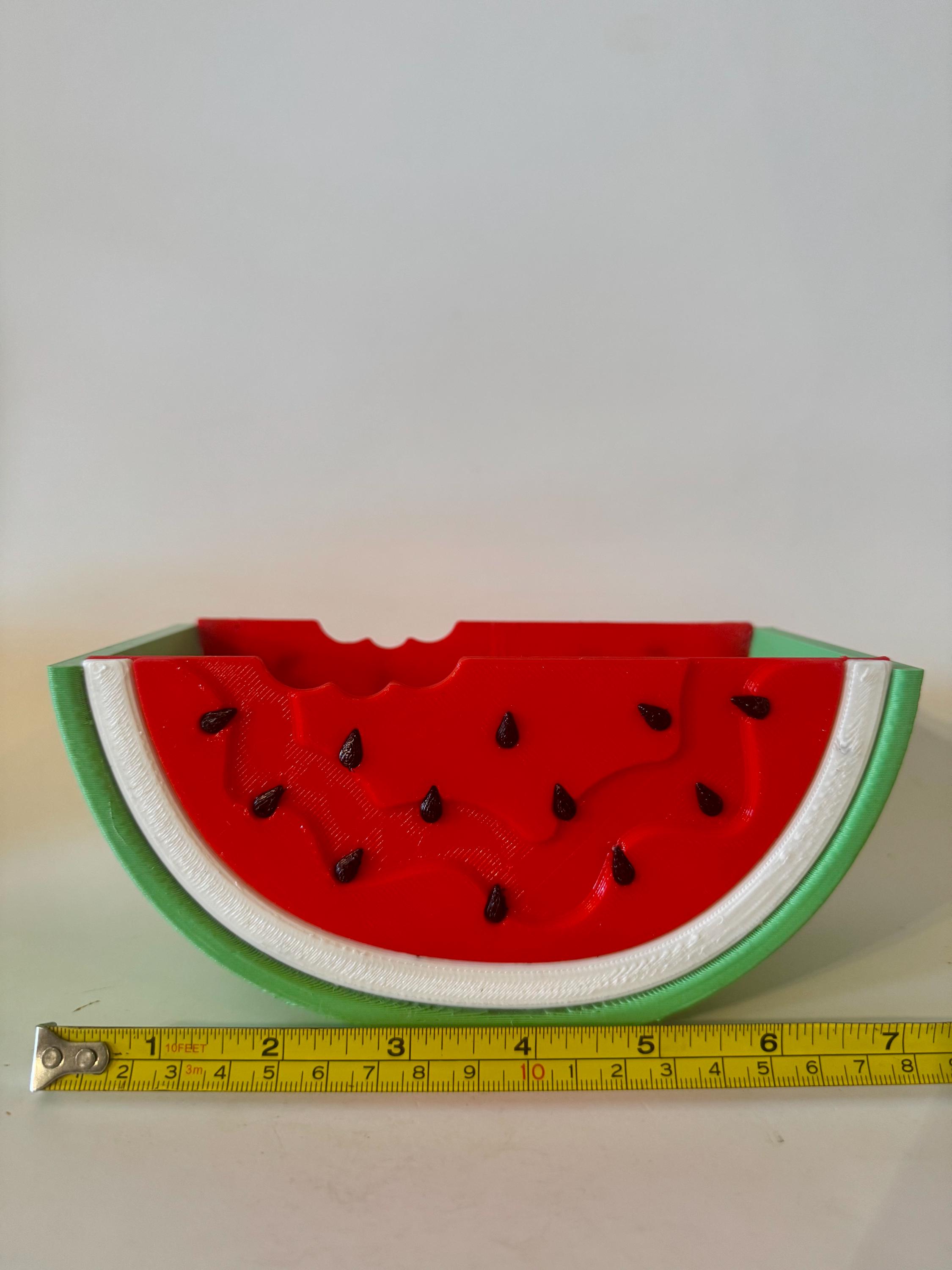 Watermelon Planter Gift - Etsy
