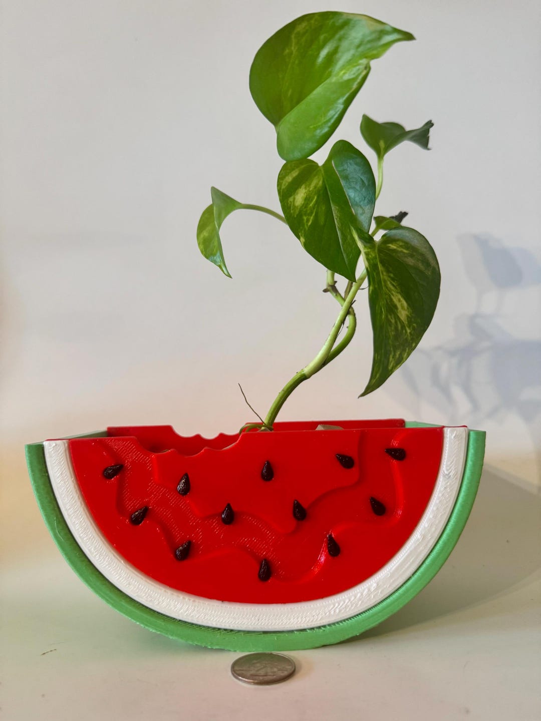 Watermelon Planter Gift - Etsy