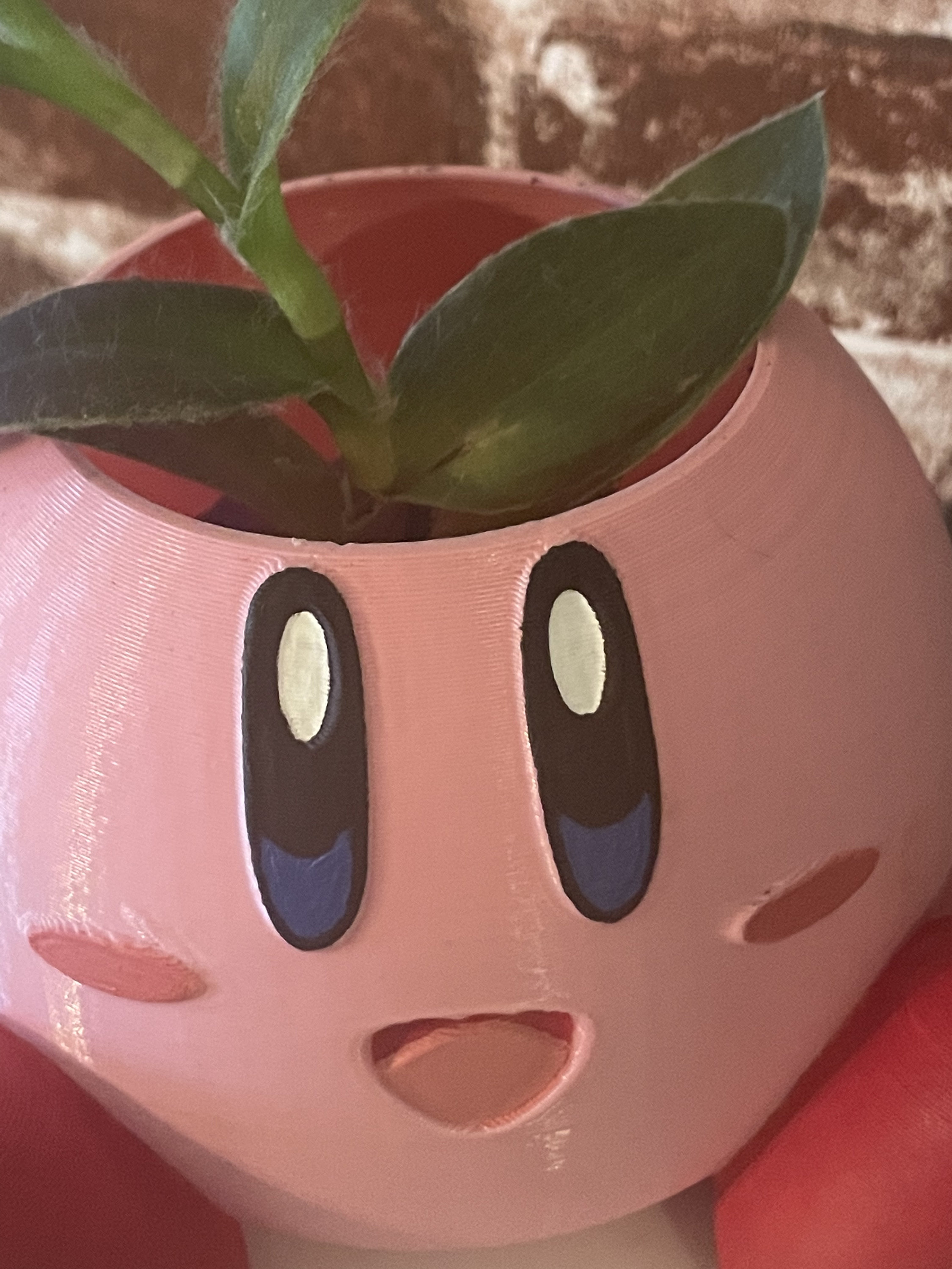 Kirby Planter Gift - Etsy