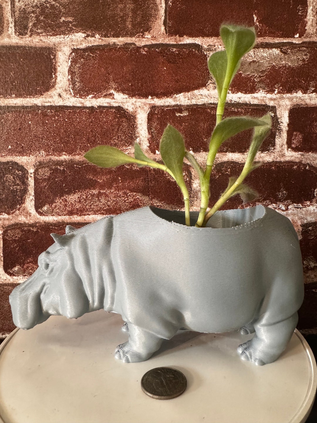 Hippo Planter Gift - Etsy