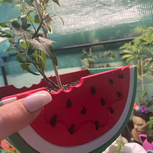 Watermelon Planter Gift - Etsy