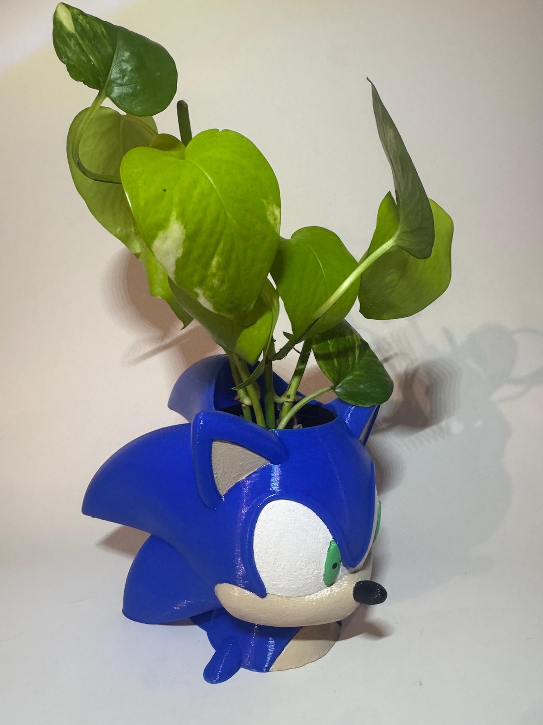 Sonic Hedgehog Planter Gift With Inner Pot - Etsy