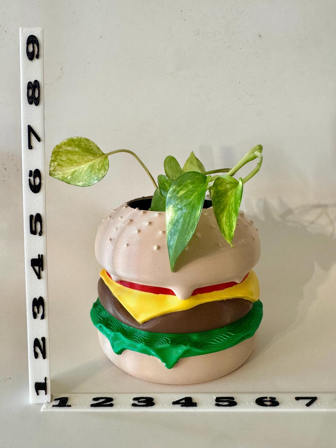 Hand Painted Burger Planter Gift - Etsy